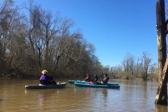 Historical Scenic Bayou Swamp Water Trail Kayak Tour - Key Points