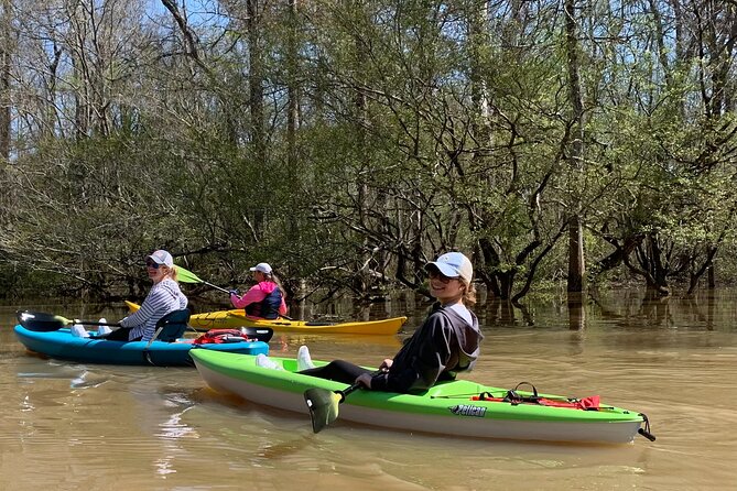 Historical Scenic Bayou Swamp Water Trail Kayak Tour - The Basics of the Cane Bayou Water Trail Kayak Experience