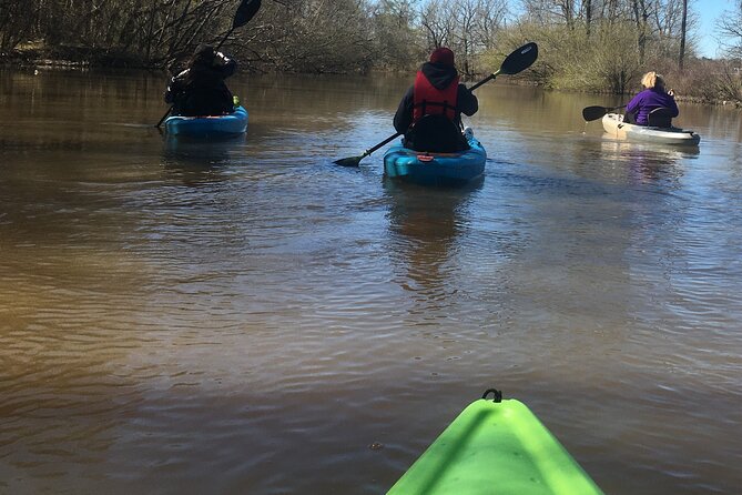 Historical Scenic Bayou Swamp Water Trail Kayak Tour - What You Receive in Your Tour Package