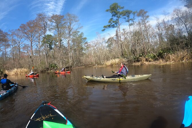 Historical Scenic Bayou Swamp Water Trail Kayak Tour - Comparing Value and Experience