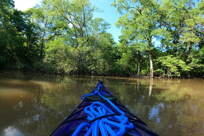 Historical Scenic Bayou Swamp Water Trail Kayak Tour - Who Will Love This Tour?