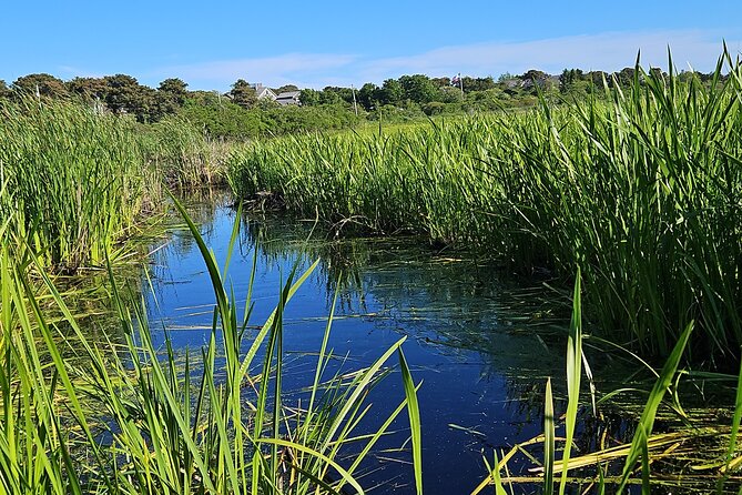 Historical Tour of Nantucket - A Closer Look at the Tour’s Itinerary