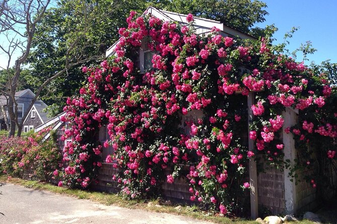 Historical Tour of Nantucket - The Sum Up
