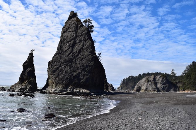 Hoh Rain Forest and Rialto Beach Guided Tour in Olympic National Park - Why This Tour Stands Out