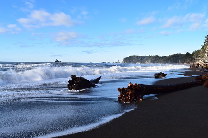 Hoh Rain Forest and Rialto Beach Guided Tour in Olympic National Park - FAQ