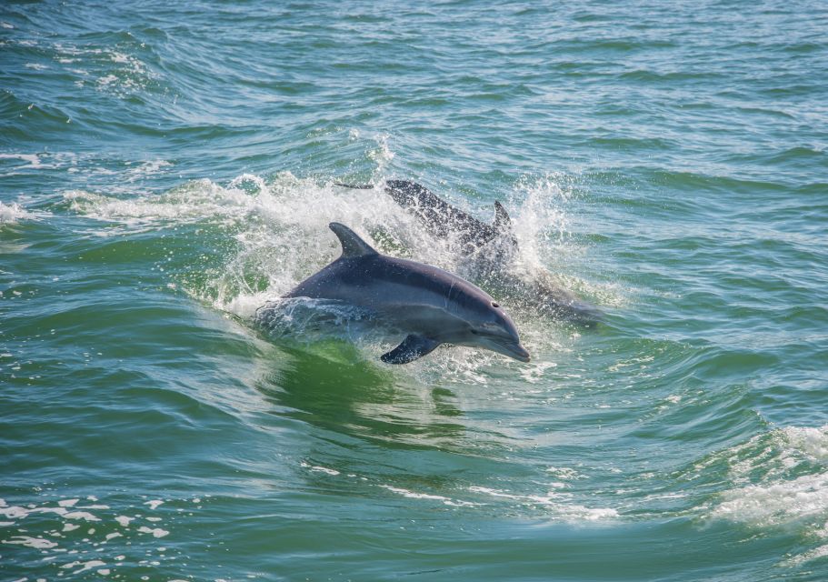 Holiday, FL: Anclote Key Preserve Private Boat Tour - Introduction: Exploring Anclote Key by Private Boat