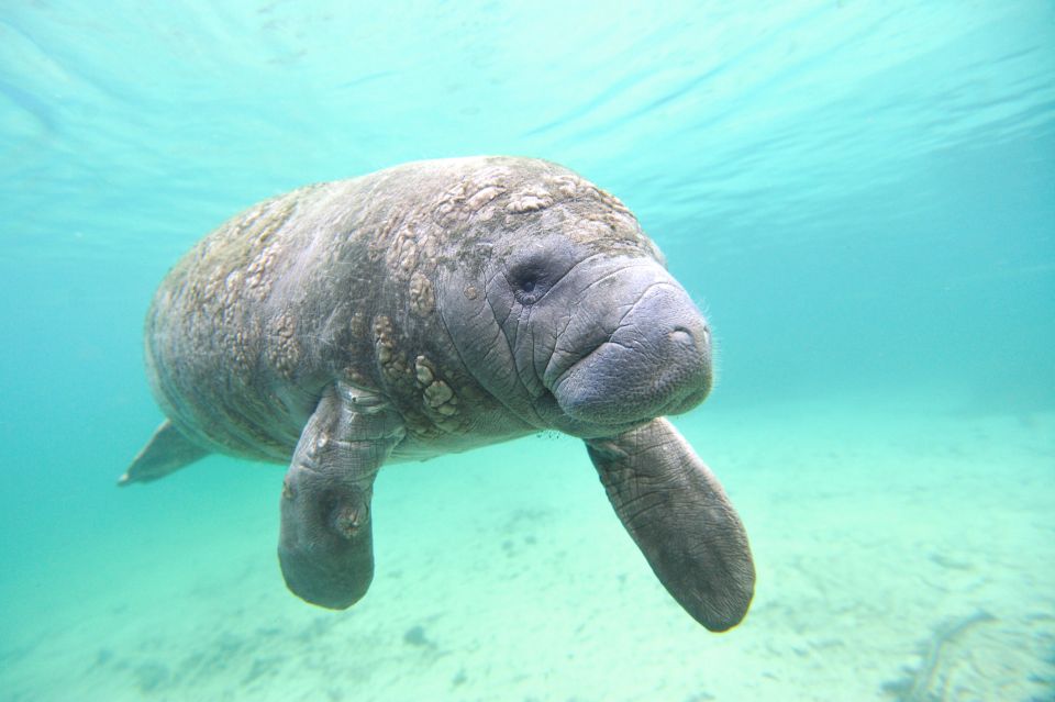 Holiday, FL: Anclote Key Preserve Private Boat Tour - A Closer Look at the Anclote Key Private Boat Tour