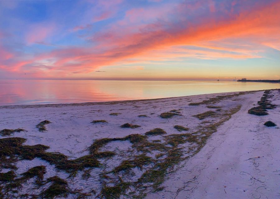 Holiday, FL: Anclote Key Preserve Private Boat Tour - Final Thoughts
