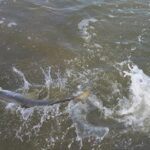 Holiday Inshore Fishing Charters - The Details That Make a Difference