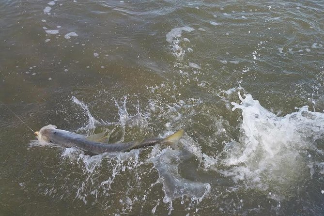 Holiday Inshore Fishing Charters - The Details That Make a Difference