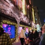 Holiday Lights Extravaganza Walking Tour - Who Should Book This Tour?