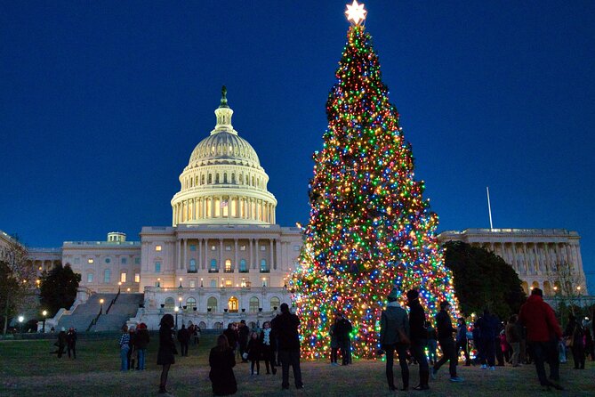 Holiday Lights Private Night Bus Tour of Washington DC - Final Thoughts: Who Will Love This Tour?