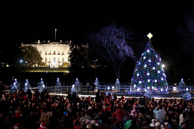 Holiday Lights Tour of Washington DC and Old Town Alexandria - Transportation and Overall Experience