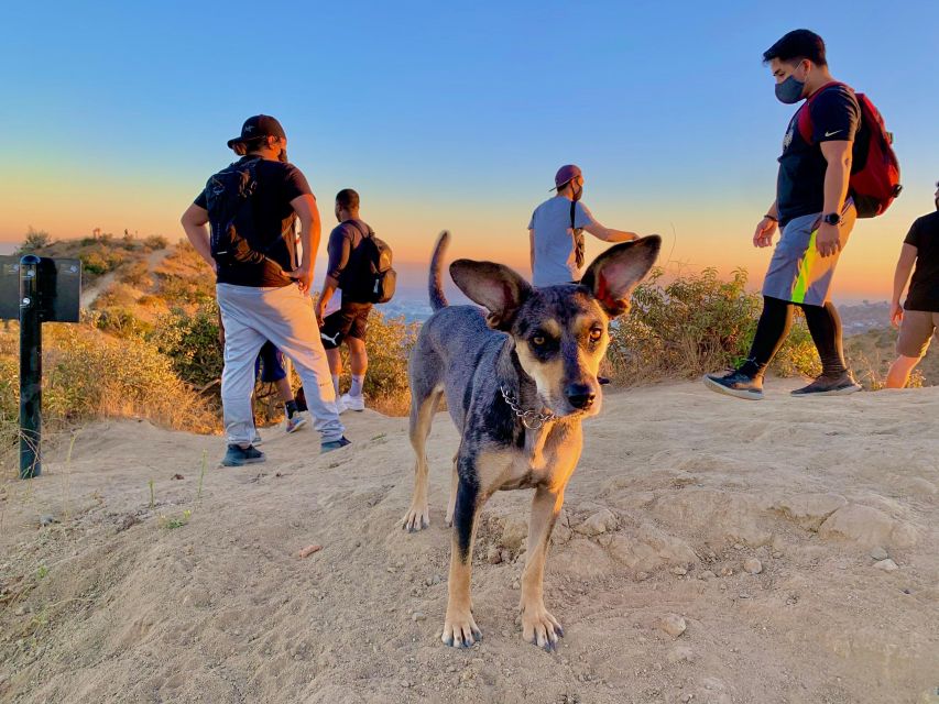 Hollywood Walking & Hiking Sunset Tour with LA Skyline Views - FAQ
