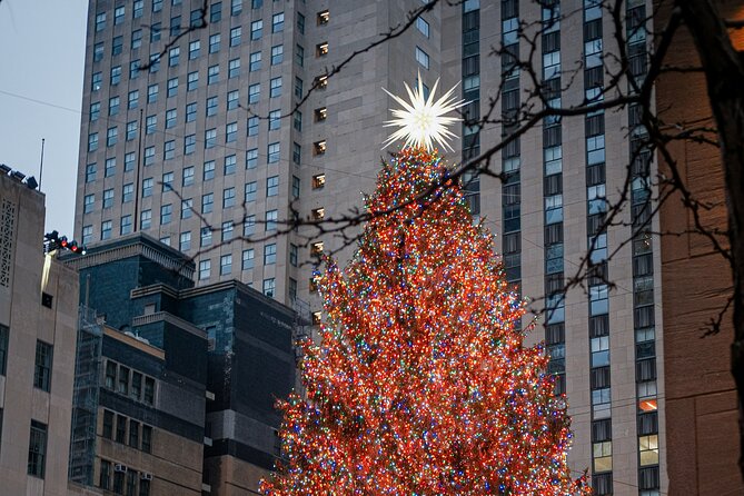 Home Alone Lost In New York Filming Locations with Private Guide - Who Would Love This Tour?