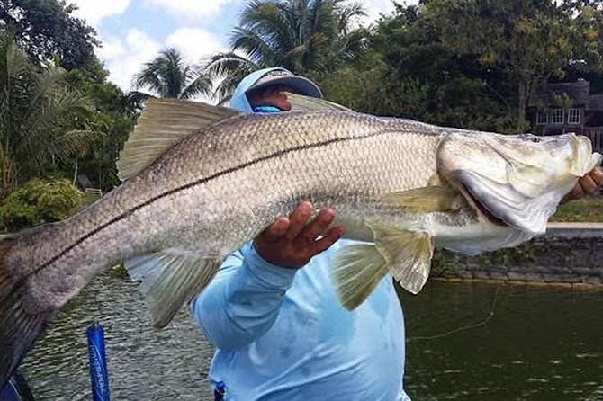 Homosassa Inshore Fishing Charters - An In-Depth Look at Homosassa Inshore Fishing Charters