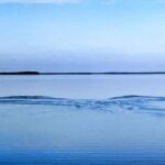 Homosassa Inshore Fishing Charters - Who Should Book This Tour?