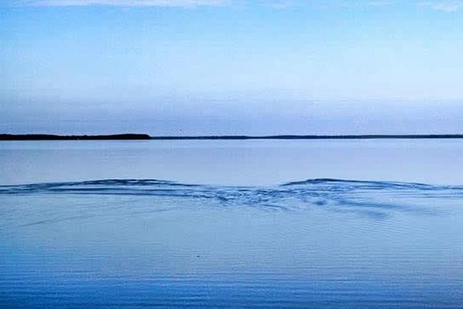 Homosassa Inshore Fishing Charters - Who Should Book This Tour?