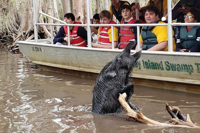 Honey Island Swamp Boat Tour - FAQ