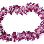 Honolulu Airport: Waikiki Private Transfer With Lei Greeting - What the Transfer Looks Like: Step-by-Step
