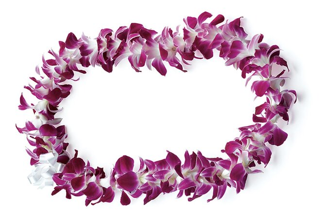 Honolulu Airport: Waikiki Private Transfer With Lei Greeting - What the Transfer Looks Like: Step-by-Step