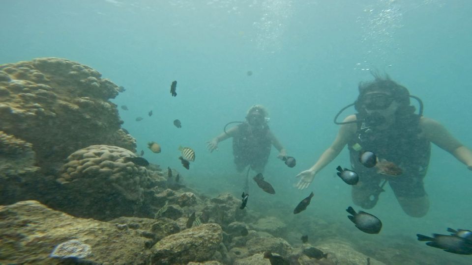 Honolulu: Beginner Scuba Diving Tour With Free Videos - Frequently Asked Questions  