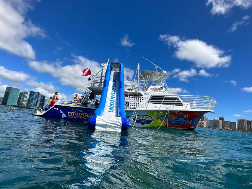 Honolulu: Deluxe Waikiki Snorkel and Wildlife Cruise - An In-Depth Look at the Waikiki Snorkel and Wildlife Cruise