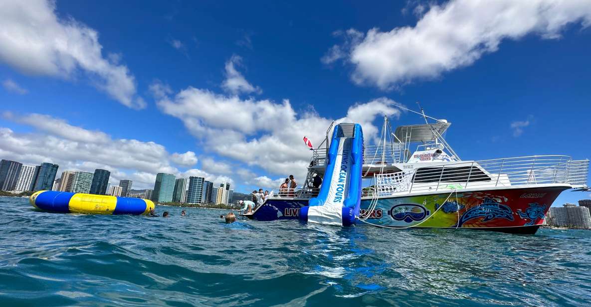 Honolulu: Deluxe Waikiki Snorkel and Wildlife Cruise - Who Should Book This Tour?