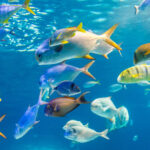 Honolulu: Glass Bottom Boat Tour along Oahu's South Shore - Why This Tour Offers Good Value