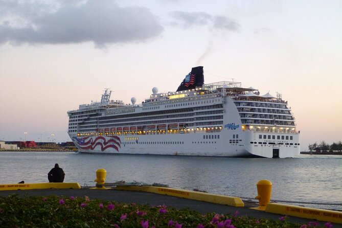 Honolulu Harbor Cruise Terminal Transfer by Luxury Vehicle - Why Choose This Transfer Service?