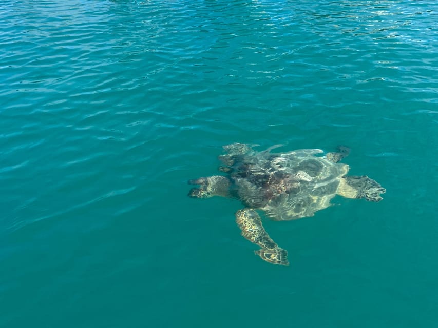Honolulu: Intro to Stand-Up Paddling Class - Why Choose This Honolulu Stand-Up Paddling Class?