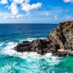 Honolulu: Oahu Sights and Bites Island Tour - What We Love About the Tour