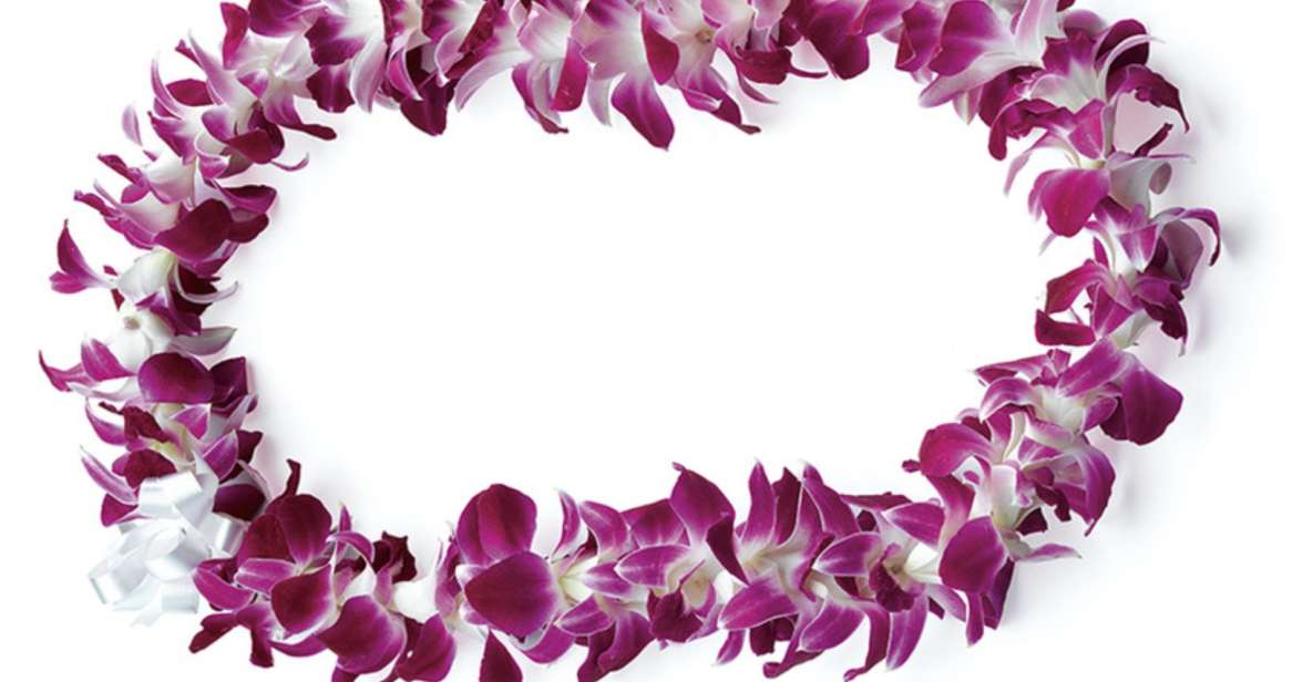 Honolulu: Private Airport Transfer with Arrival Lei Greeting - The Experience: What to Expect from Your Transfer