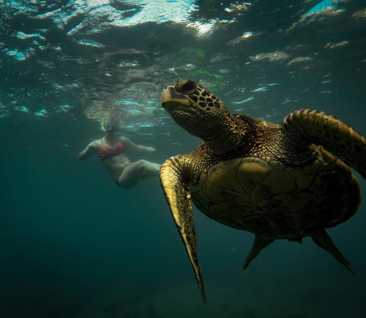 Honolulu: Private Waikiki Boat Cruises for up to 6 People - Final Thoughts