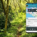 Honolulu Rainforest Self-Guided Audio Tour - What the Reviews Say