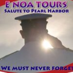 Honolulu: Salute to Pearl Harbor - USS Arizona Memorial Tour - An Honest Look at the Pearl Harbor Tour Experience