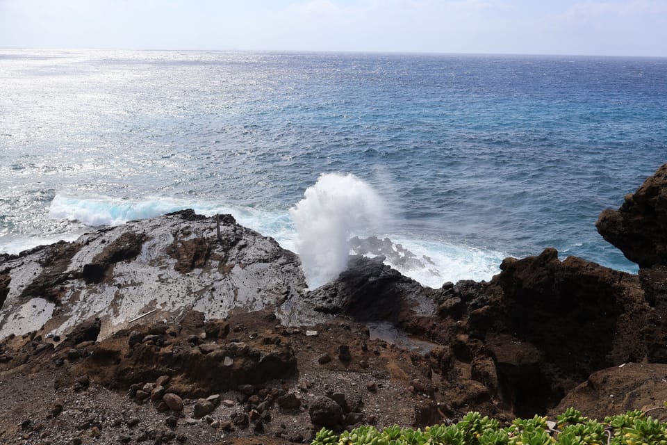 Honolulu: Stunning Views of Oahu! Half-day Scenic Tour - FAQs
