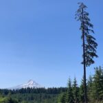 Hood River: All-Day E-Bike Rental - The Actual Experience: What We Found From Reviews