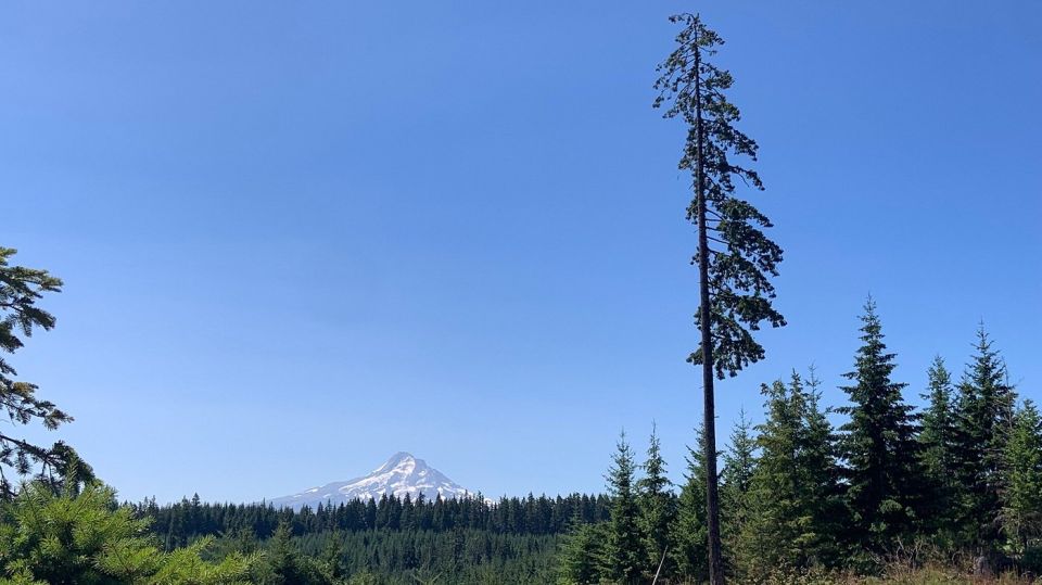 Hood River: All-Day E-Bike Rental - The Actual Experience: What We Found From Reviews