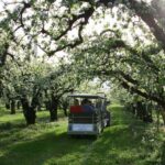 Hood River: Orchard Tour - The Sum Up