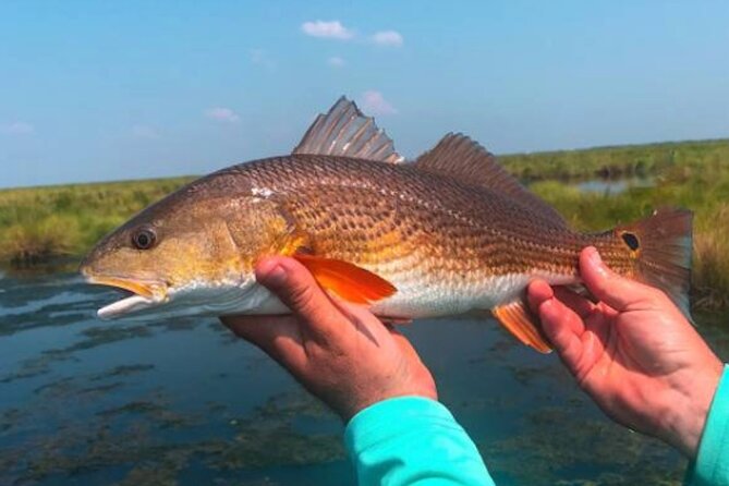 Hooked on the Bayou: New Orleans Kayak Fishing Trips - The Sum Up