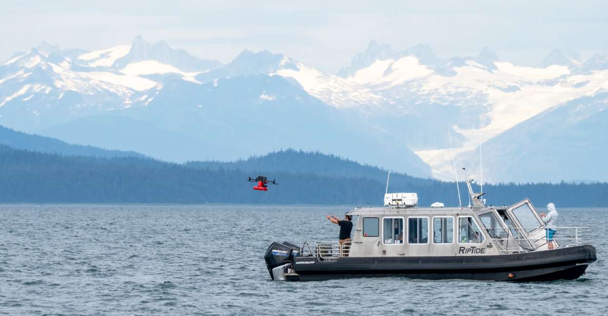 Hoonah: Icy Strait Whale Watch with Drone Filmography - Who Is This Tour For?