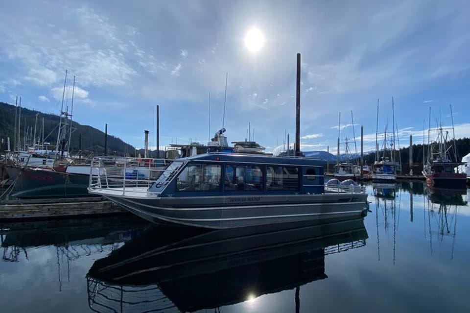 Hoonah: Whale Watching Cruise - An In-Depth Look at the Whale Watching Tour