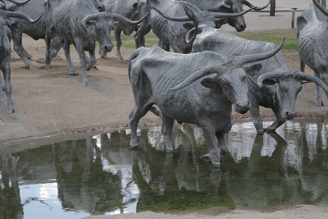 Hop On Hop Off Dallas Tour - Who Will Love This Tour?