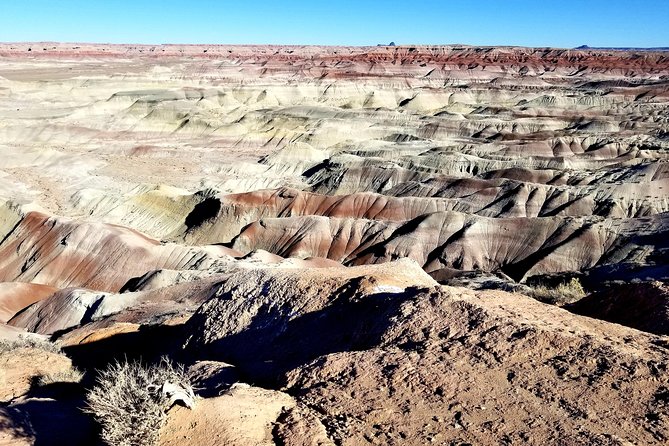 Hopi Cultural and Archaeological Day Trip from Sedona or Flagstaff - What to Expect from the Hopi Cultural and Archaeological Day Trip