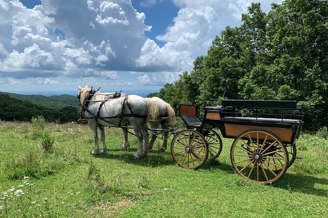Horse and Carriage Ride through Moses H. Cone Park - The Scenic Itinerary: Highlights of Your Ride