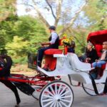Horse Carriage Ride to/from Tavern On The Green (Up to 4 Adults) - Weather and Comfort Considerations