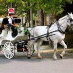 Horse Carriage Romantic Ride (VIP-Private) in Central Park 1964 - Final Thoughts
