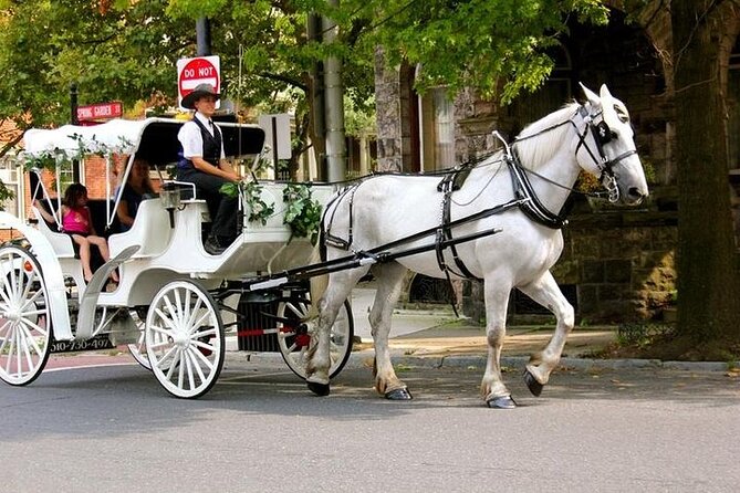 Horse Carriage Romantic Ride (VIP-Private) in Central Park 1964 - Final Thoughts