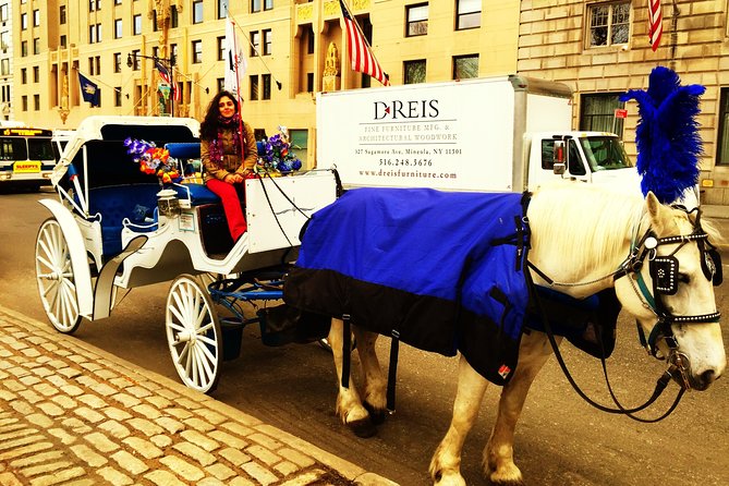 Horse Carriage Tour in New York City's Central Park Small Loop - What to Expect During the Tour